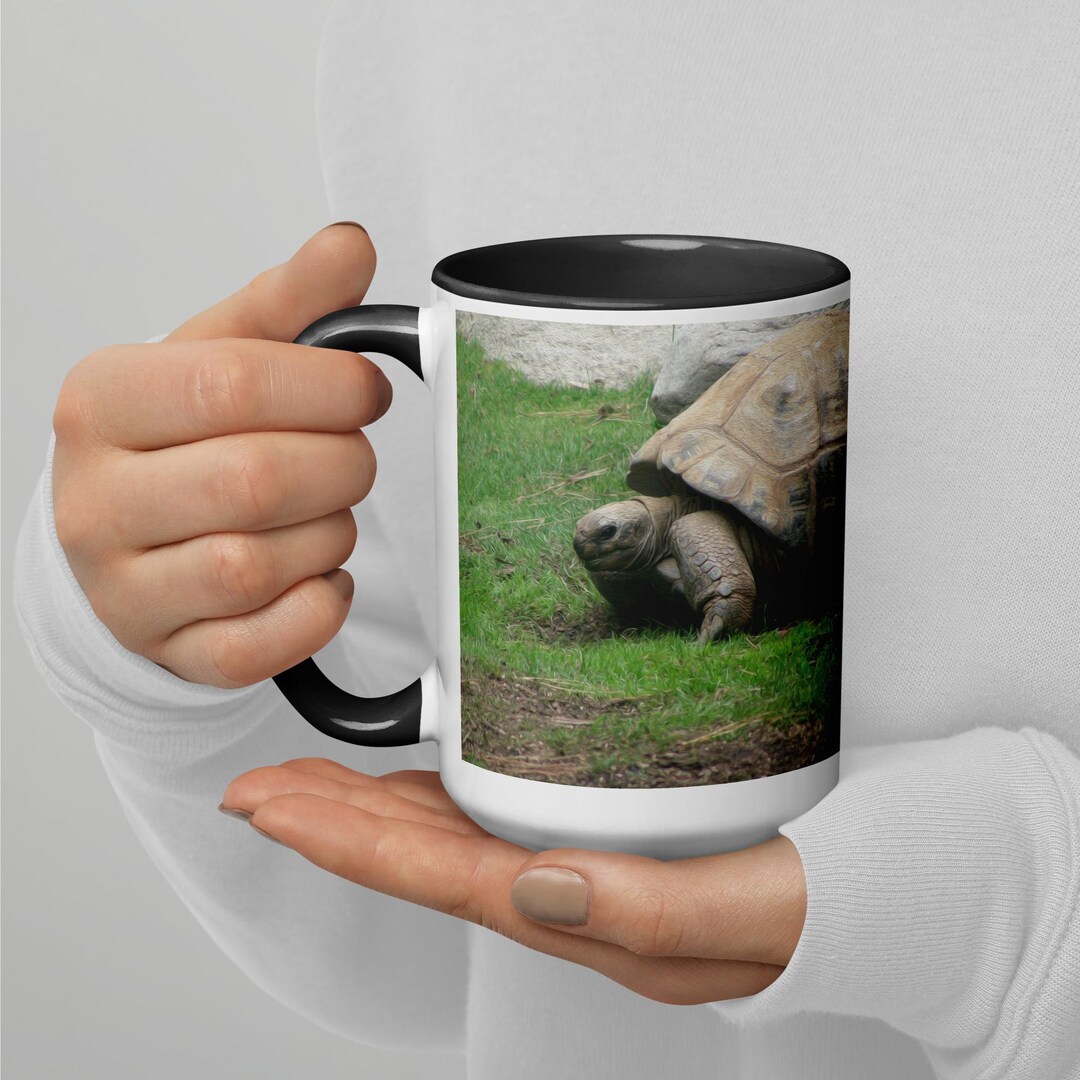 Giant Tortoise Mug With Color Inside - Etsy