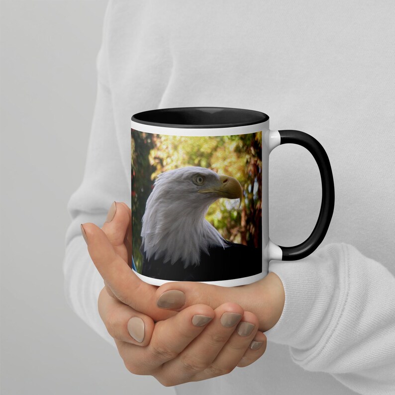 Bald Eagle Mug With Color Inside - Etsy