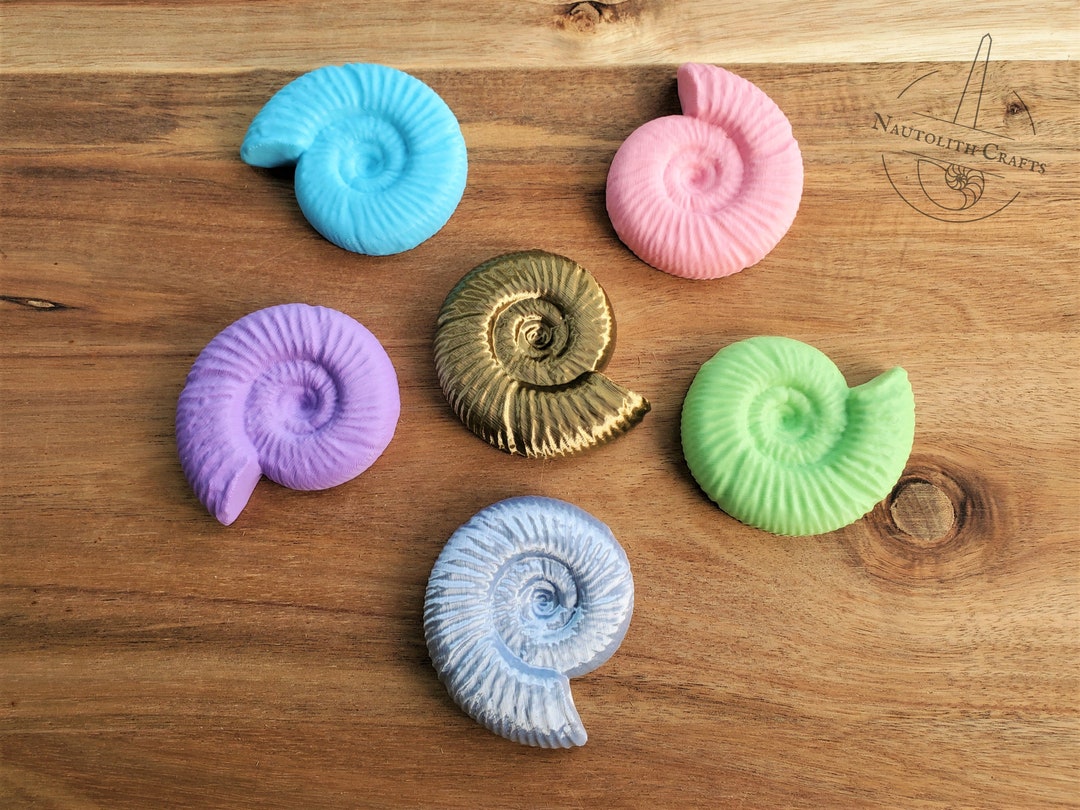 Ammonite Shell Fossil Magnet - Ancient Nautilus Cephalopod Replica ...