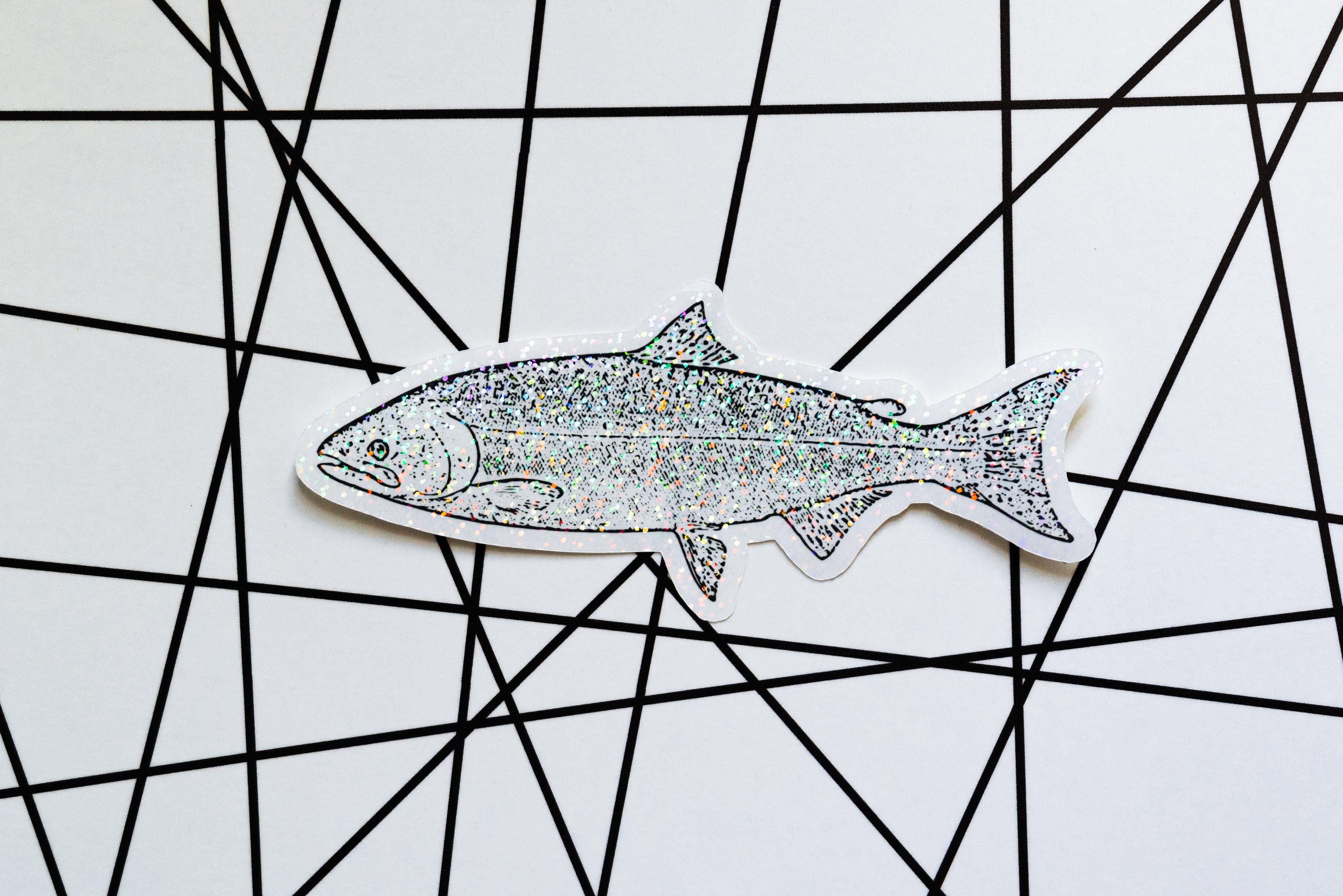 Chinook Salmon Vinyl Sticker | Fishing Stickers for Nature Lovers ...