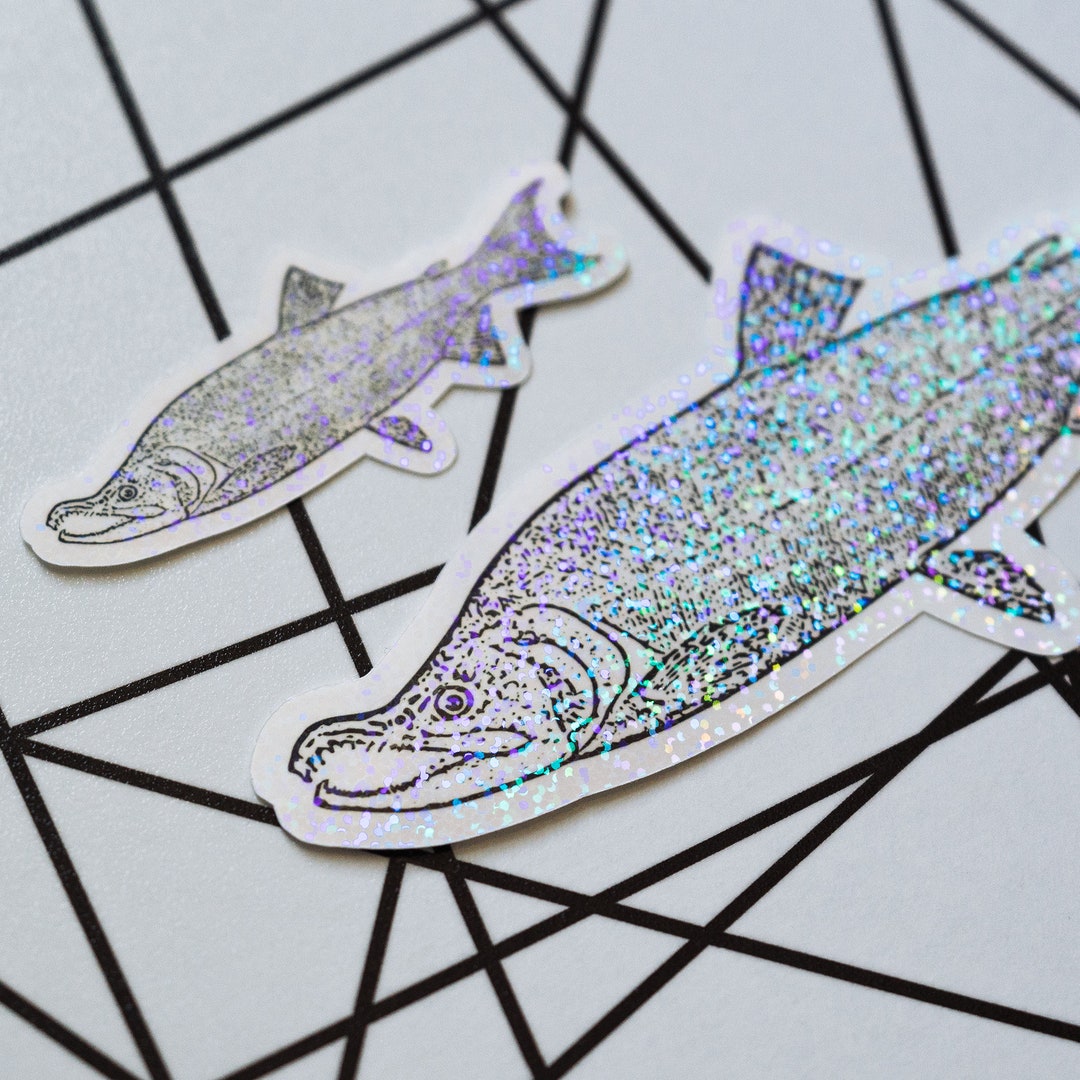 Sockeye Salmon Vinyl Sticker | Fishing Stickers for Nature Lovers ...