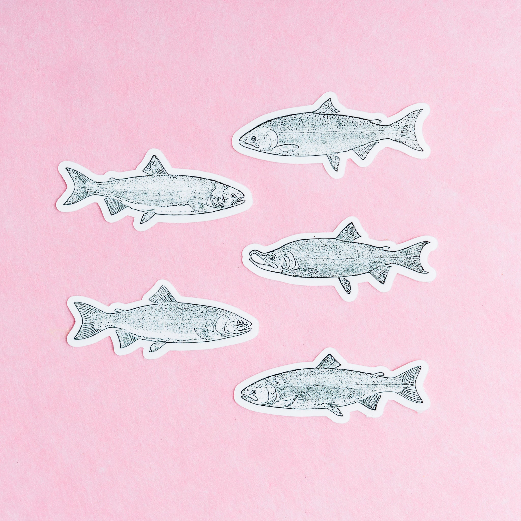 Chinook Salmon Vinyl Sticker Fishing Stickers for Nature - Etsy