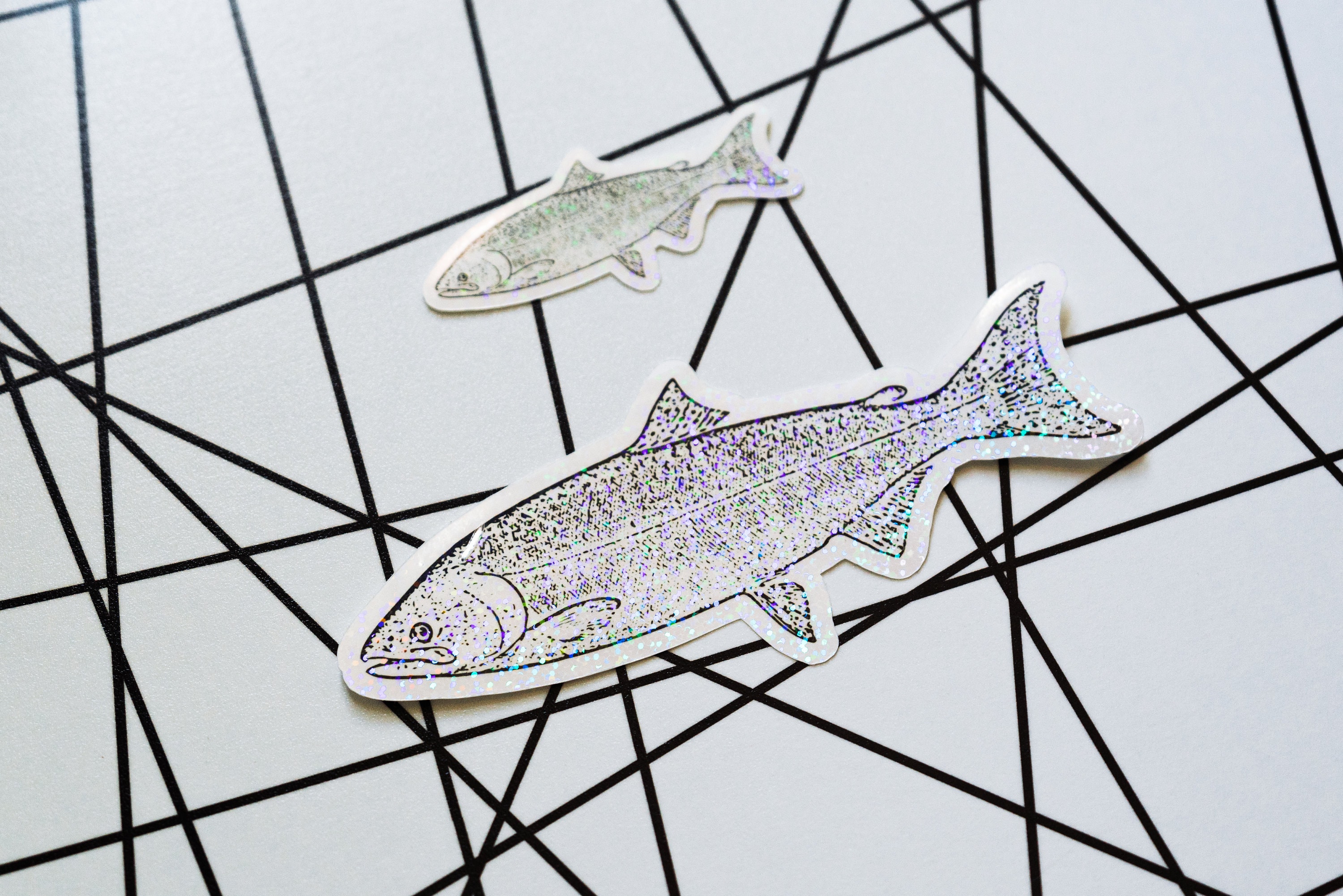 Chinook Salmon Vinyl Sticker | Fishing Stickers for Nature Lovers ...