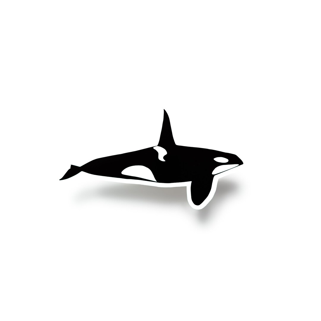 Killer Whale Vinyl Sticker | Cute Coastal Summer Beach Stickers | Decal ...