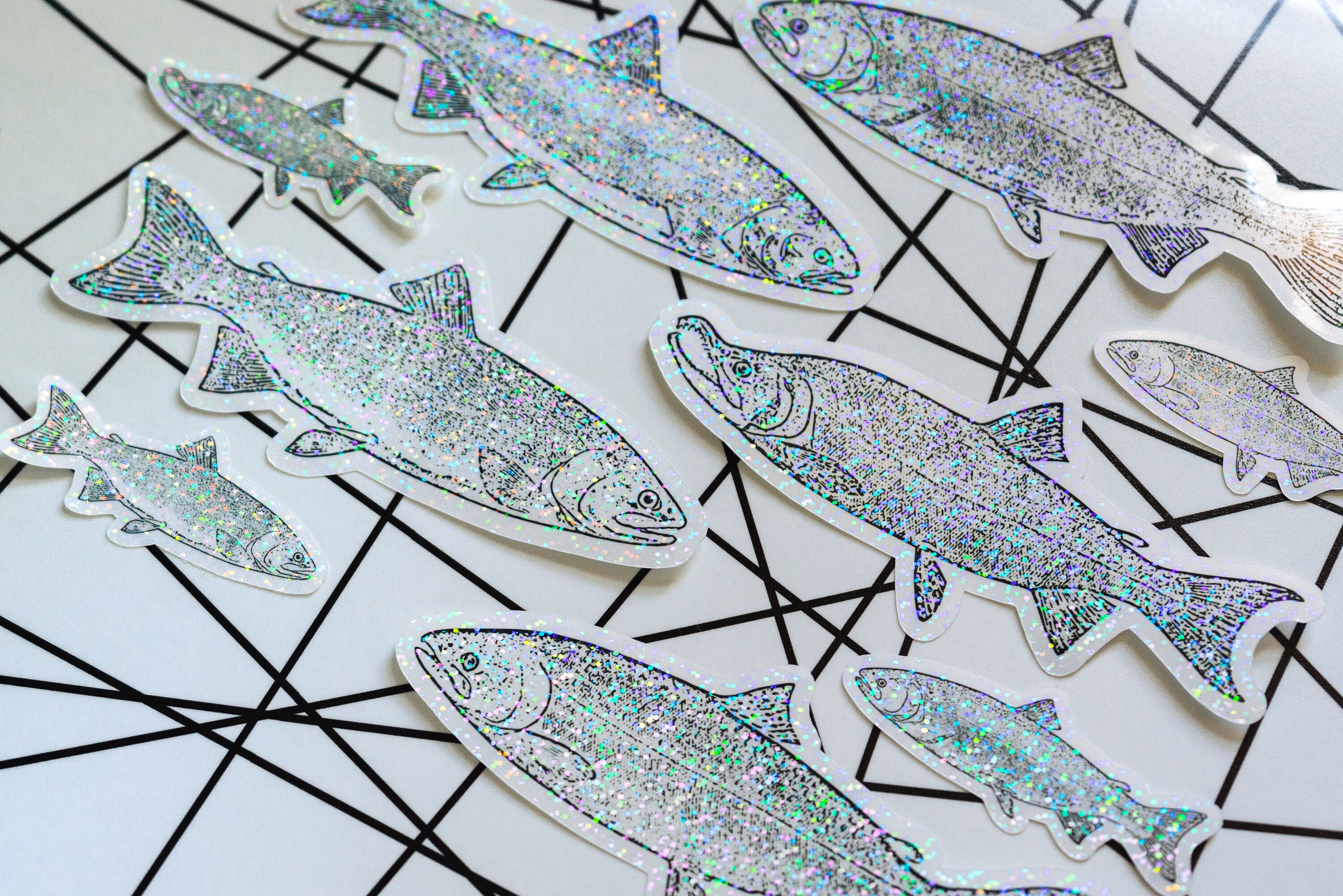 Chinook Salmon Vinyl Sticker Fishing Stickers for Nature Lovers Animal ...