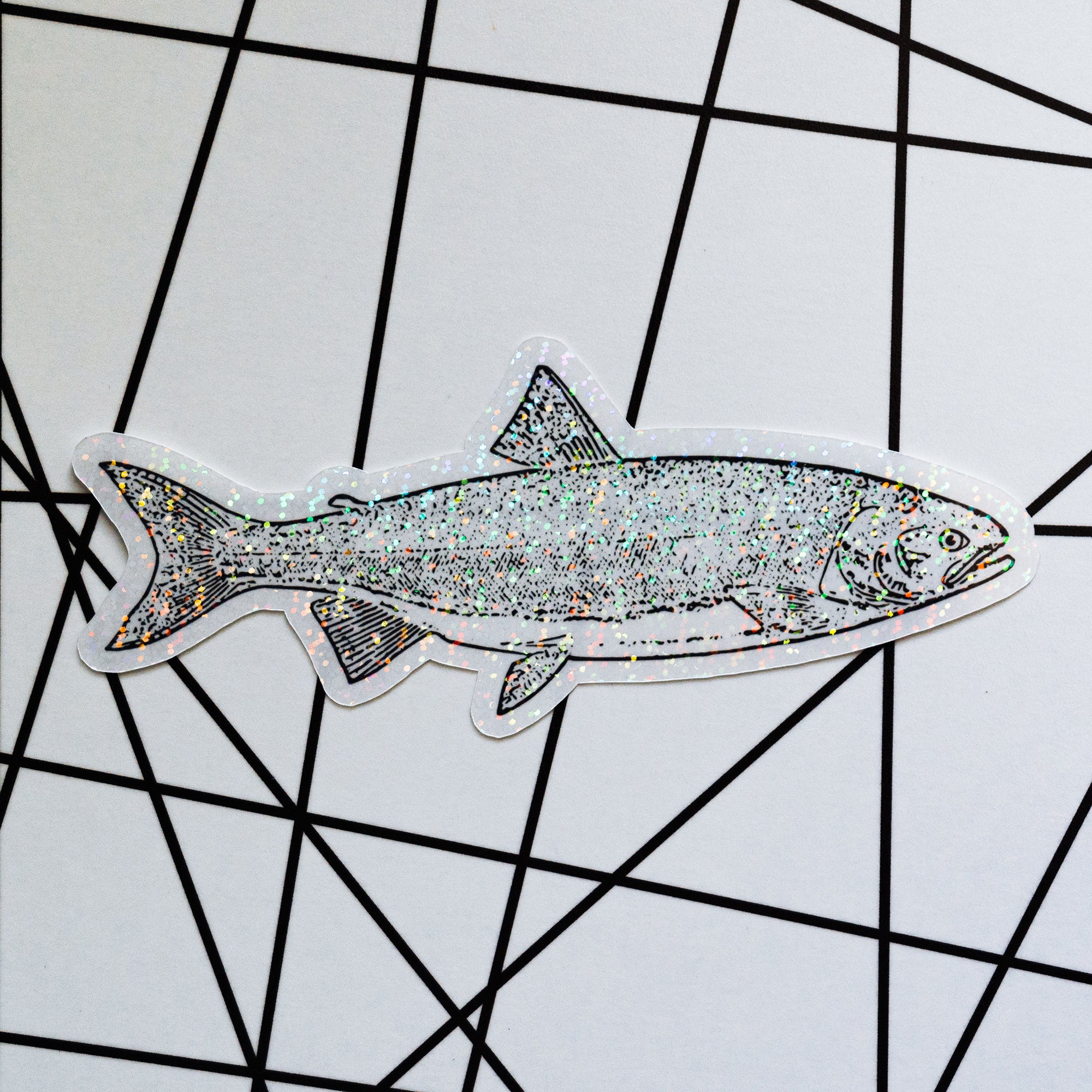 Pacific Salmon Vinyl Sticker Pack Fly Fishing Decals for - Etsy