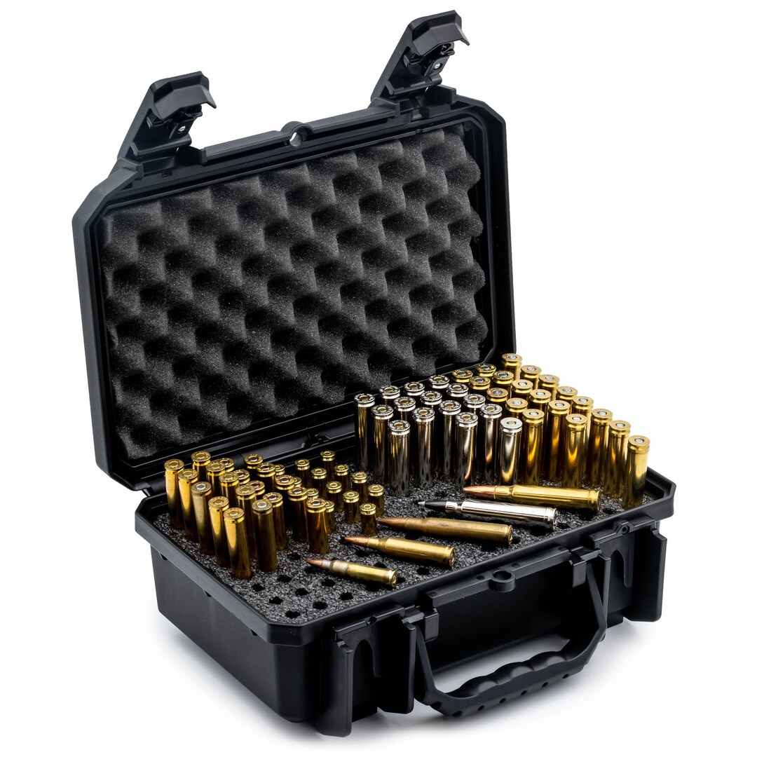 Evergreen 100 Round Bullet Locking Storage Case - Travel Safe/ Mil Spec ...