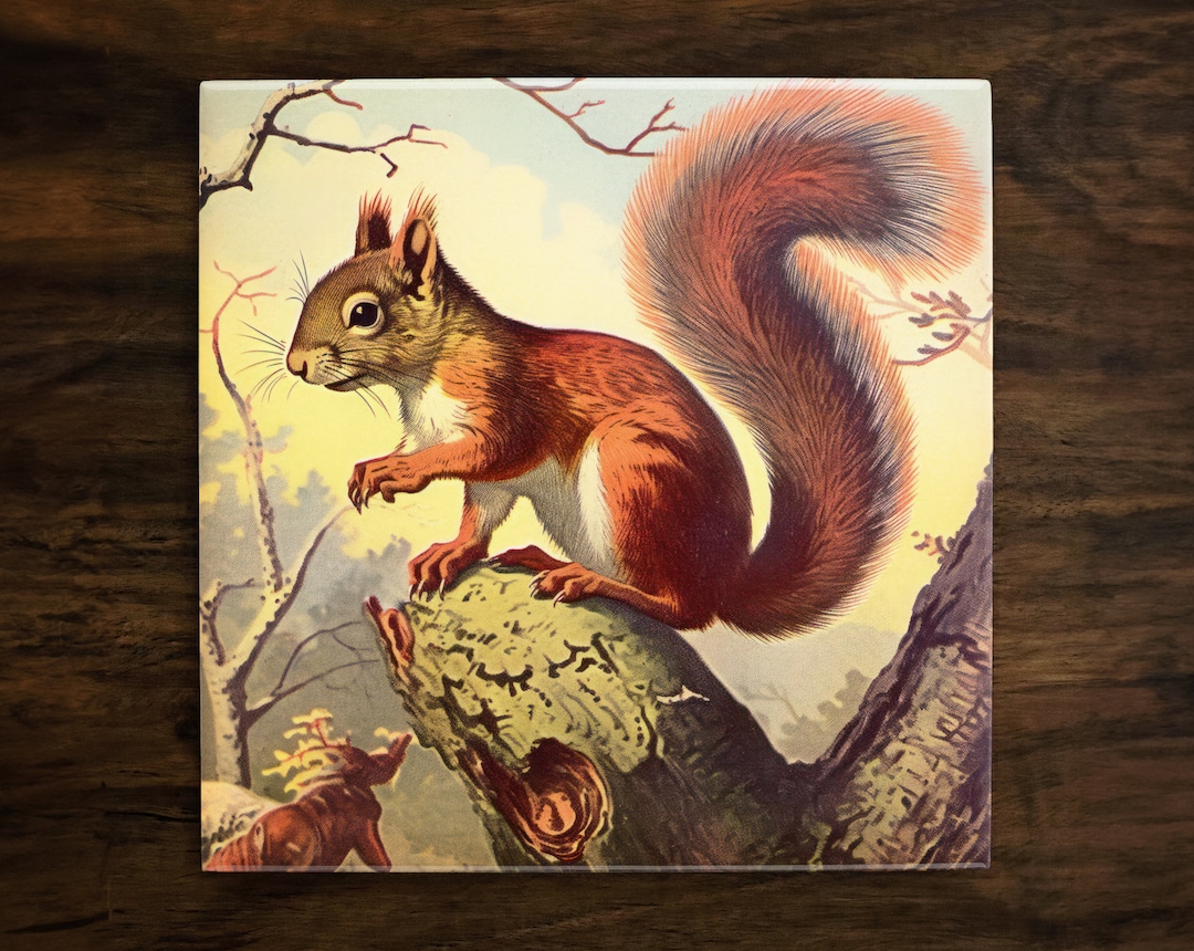 Vintage-style Illustration | Squirrel in Nature Art (#4), on a Glossy ...
