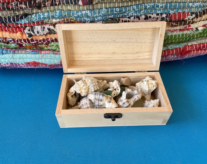 Mediterranean Treasure Chest Driftwood, Shells, Sea Glass, Ceramics and ...