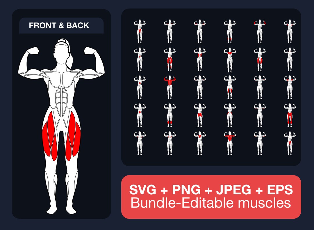 Female Bodybuilding Editable Muscle Graphics - Etsy