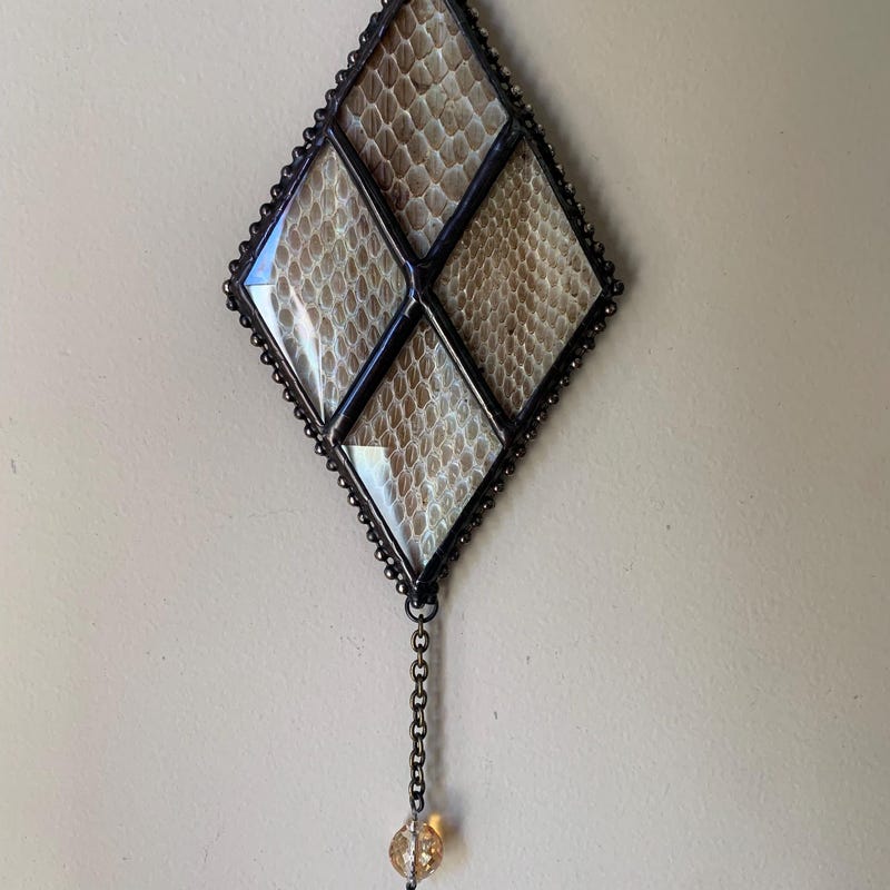 Snake Sheds - Etsy