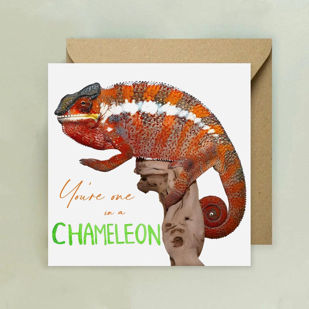 Chameleon One in A Chameleon Card - Etsy