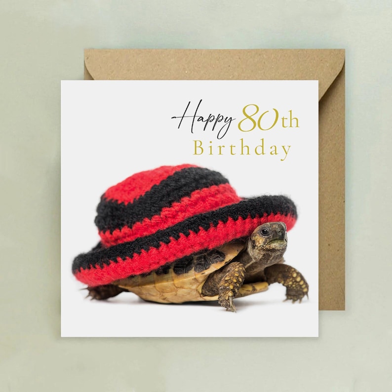 80th Birthday Tortoise Card - Etsy