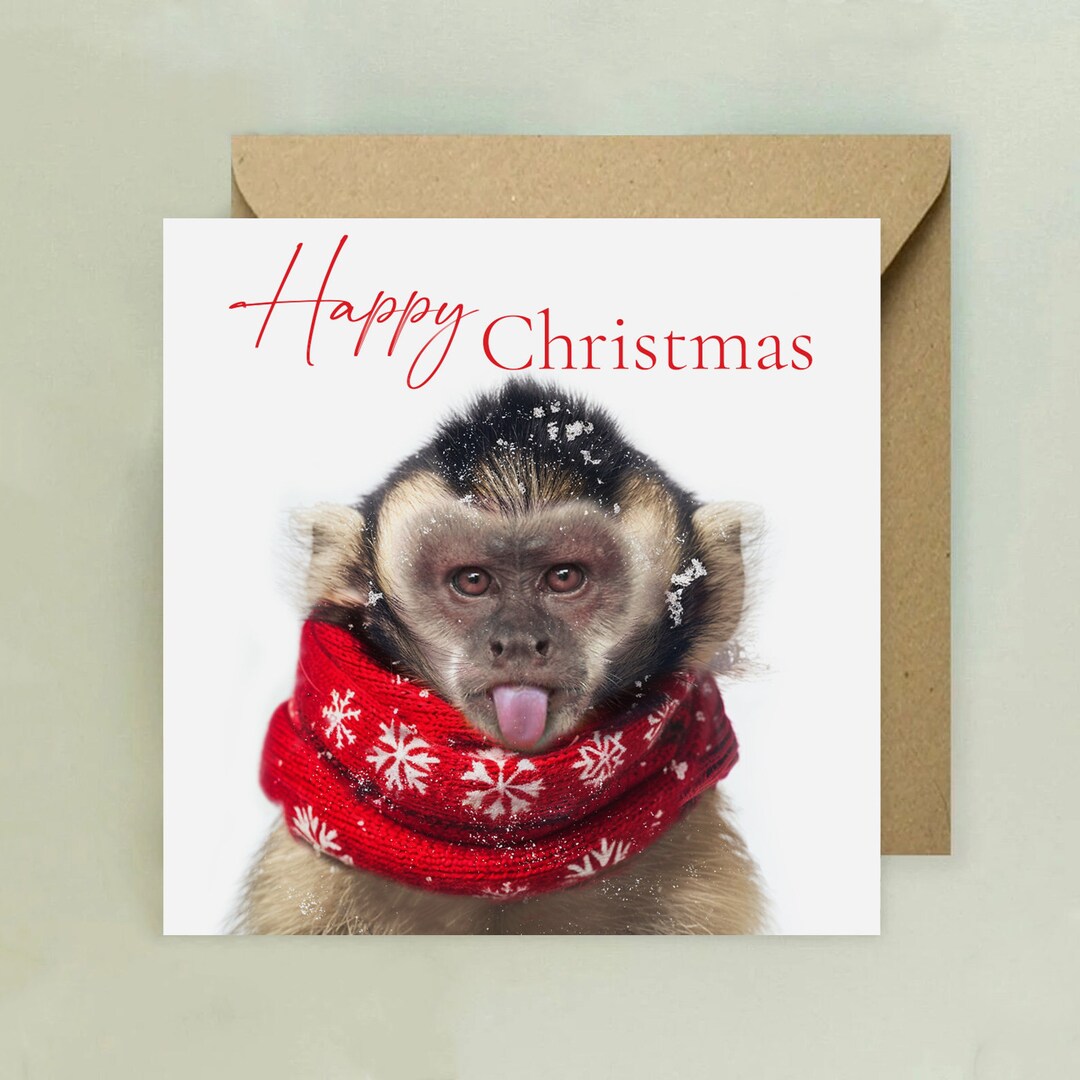 Capuchin Christmas 10x Pack of Cards - Etsy