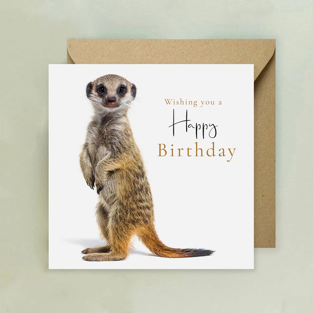 Meerkat Happy Birthday Card - Etsy