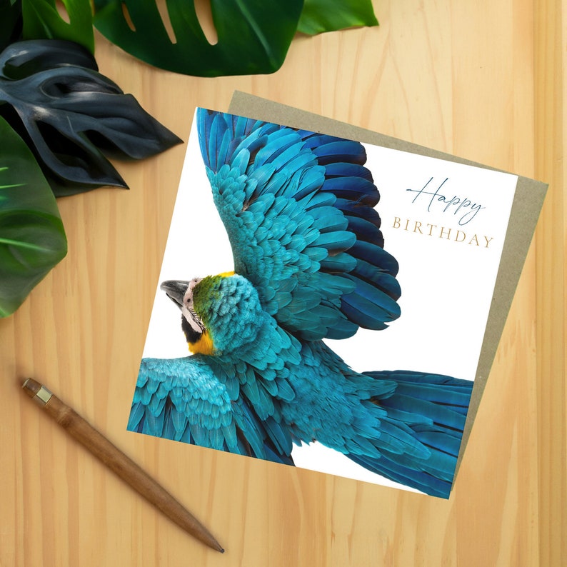 Blue Macaw Birthday Card - Etsy