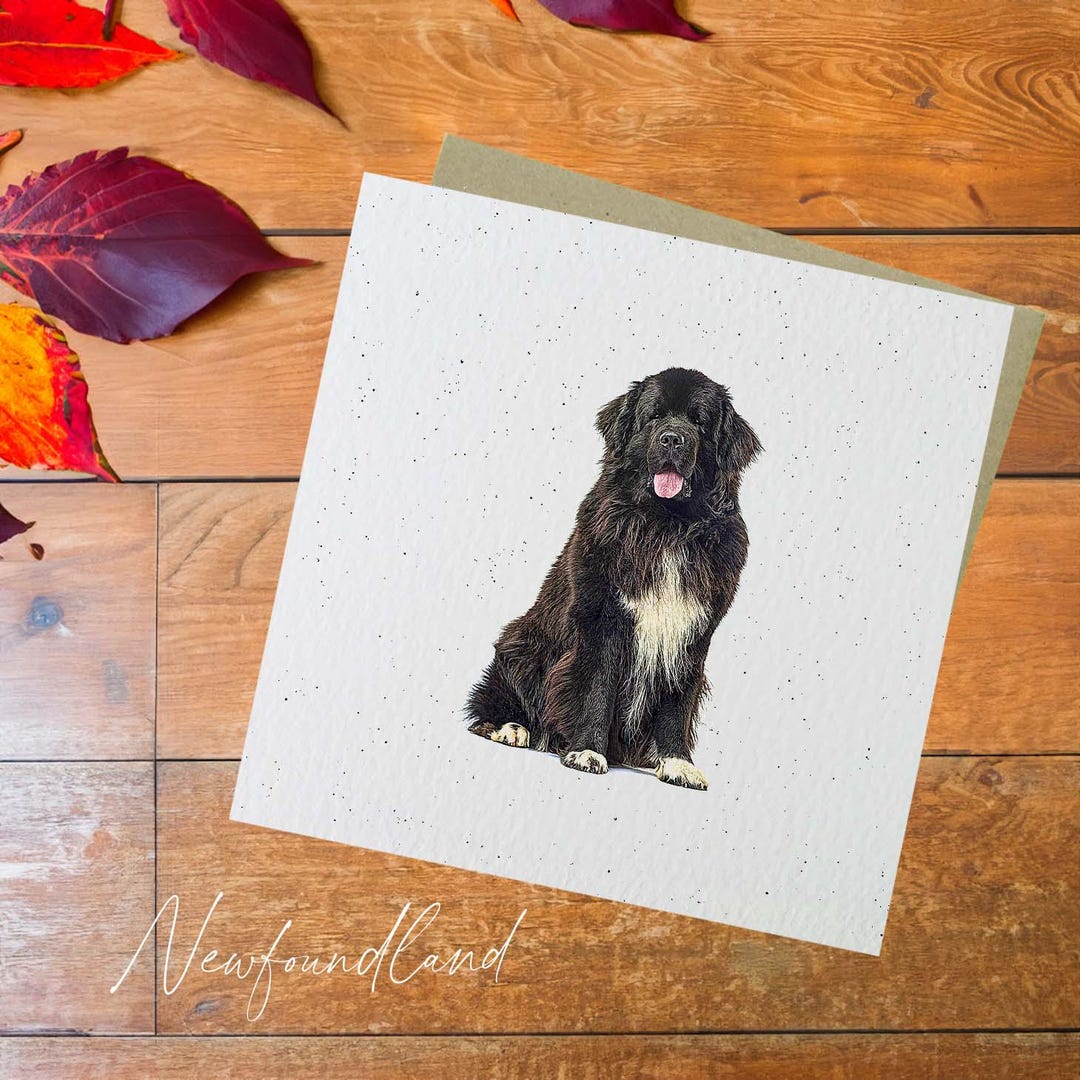 Newfoundland Dog Card - Etsy