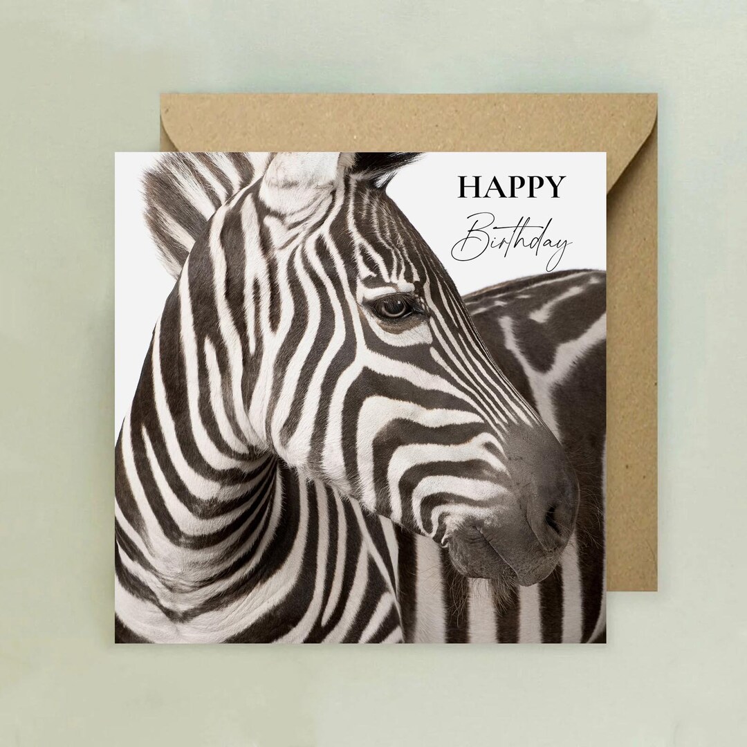 Zebra Happy Birthday Card - Etsy