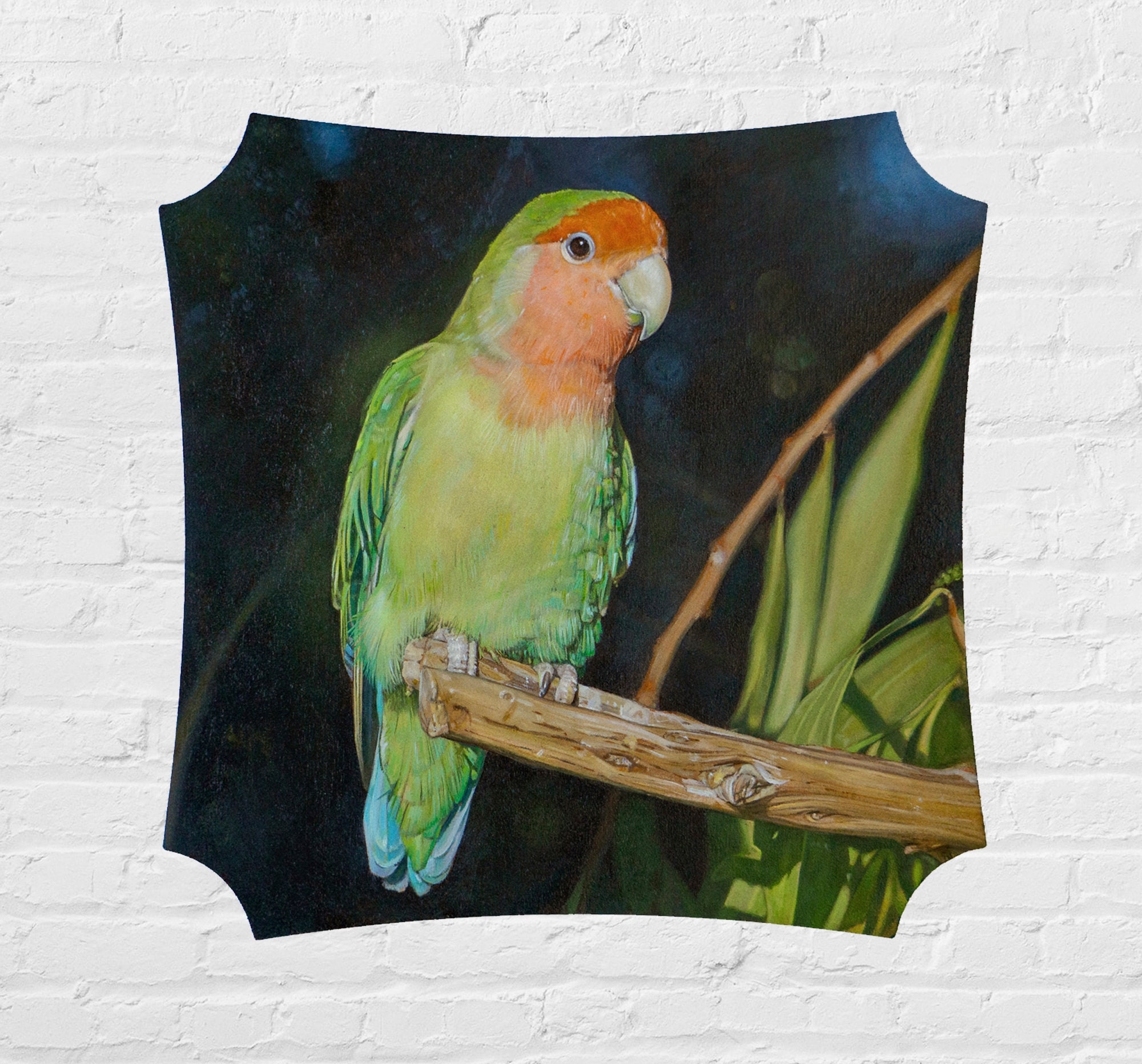 Dwarf Parrot - Etsy