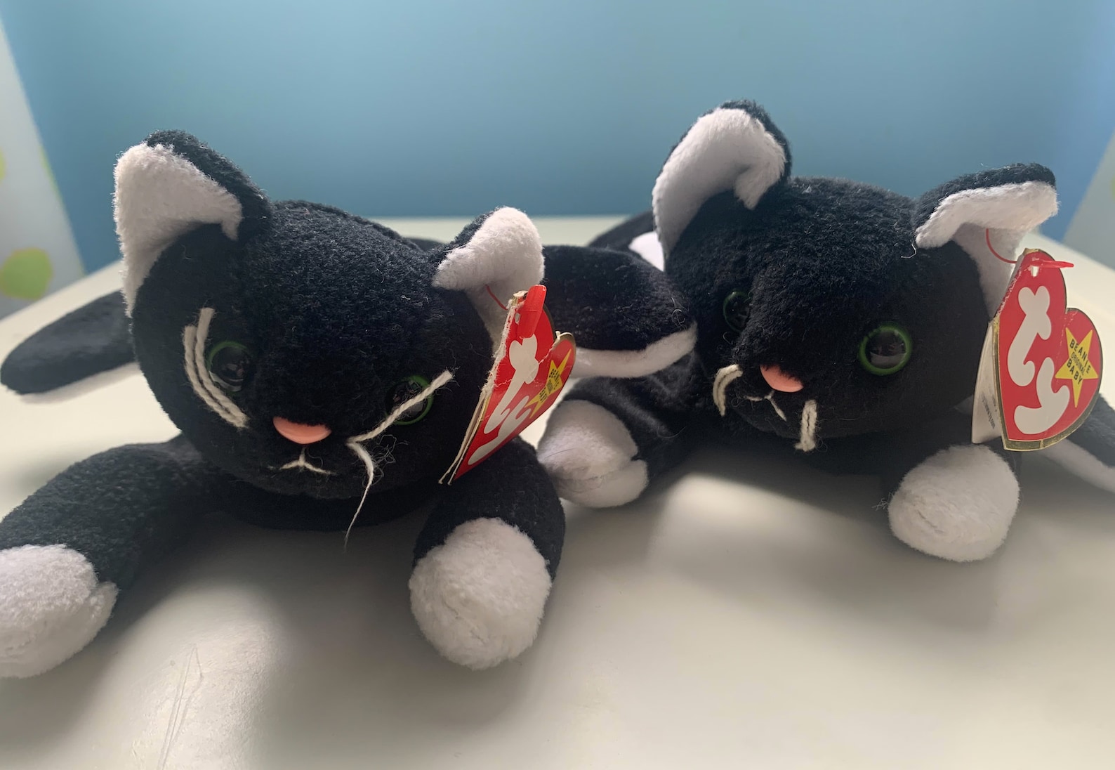 Winged Cat Plush Catwings Custom Plush - Etsy