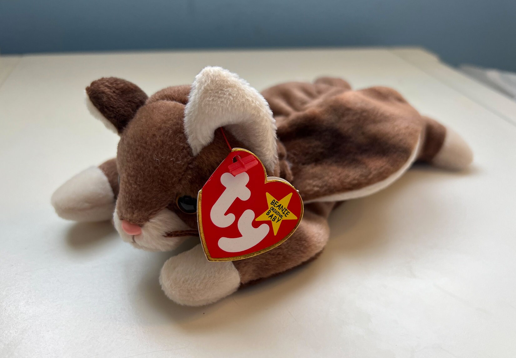 Winged Cat Plush Catwings Custom Plush - Etsy