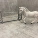 Horse Show Jumping Set, Model Horses, Pretend Play, Children Activities ...
