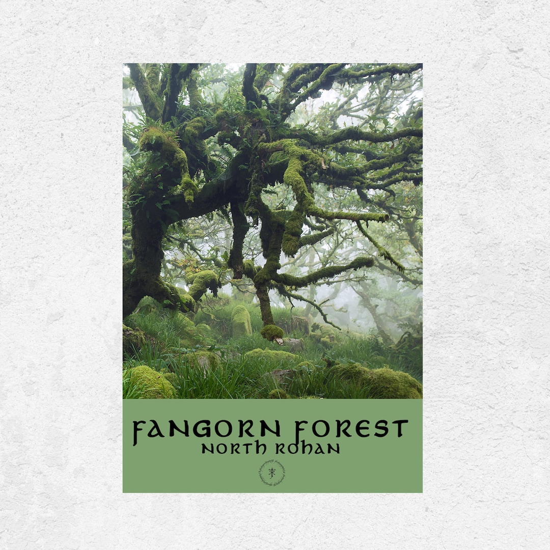 Fangorn Forest Home of the Ents. Lord of the Rings Middle-earth Poster ...