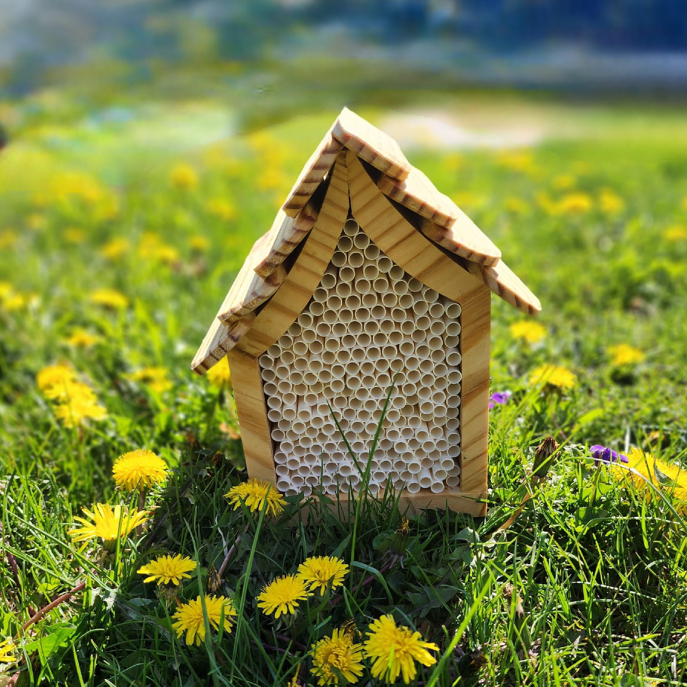 Handcrafted Mason Bee Hotel for a Sustainable Garden Medium - A House ...