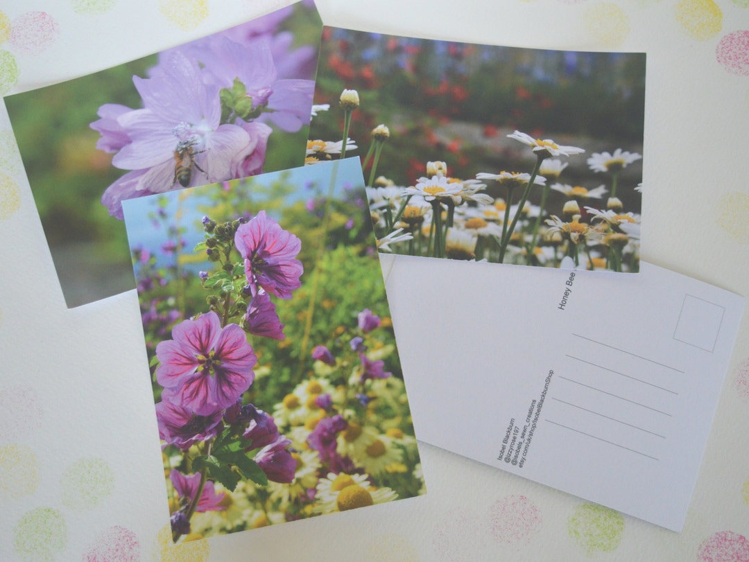 Postcards, Blank Postcards, Nature Photography Prints, Floral Cards ...