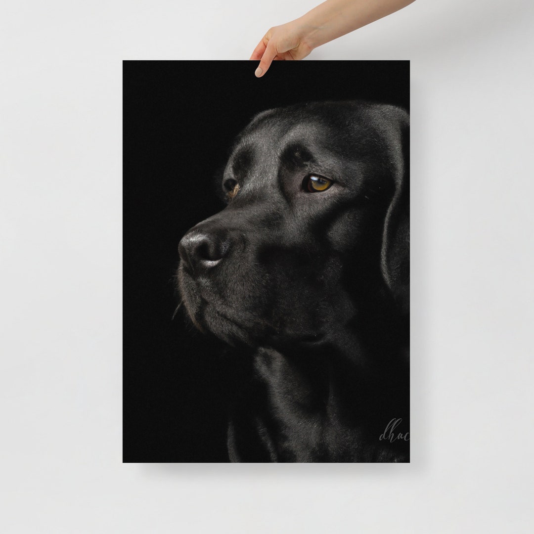 Black Labrador Digital Art Print at Home - Etsy