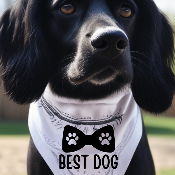 Dog Wedding Attire - Etsy