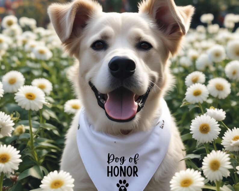 Dog of Honor Bandana SVG, PNG Files. Wedding Day Dog Attire - Etsy