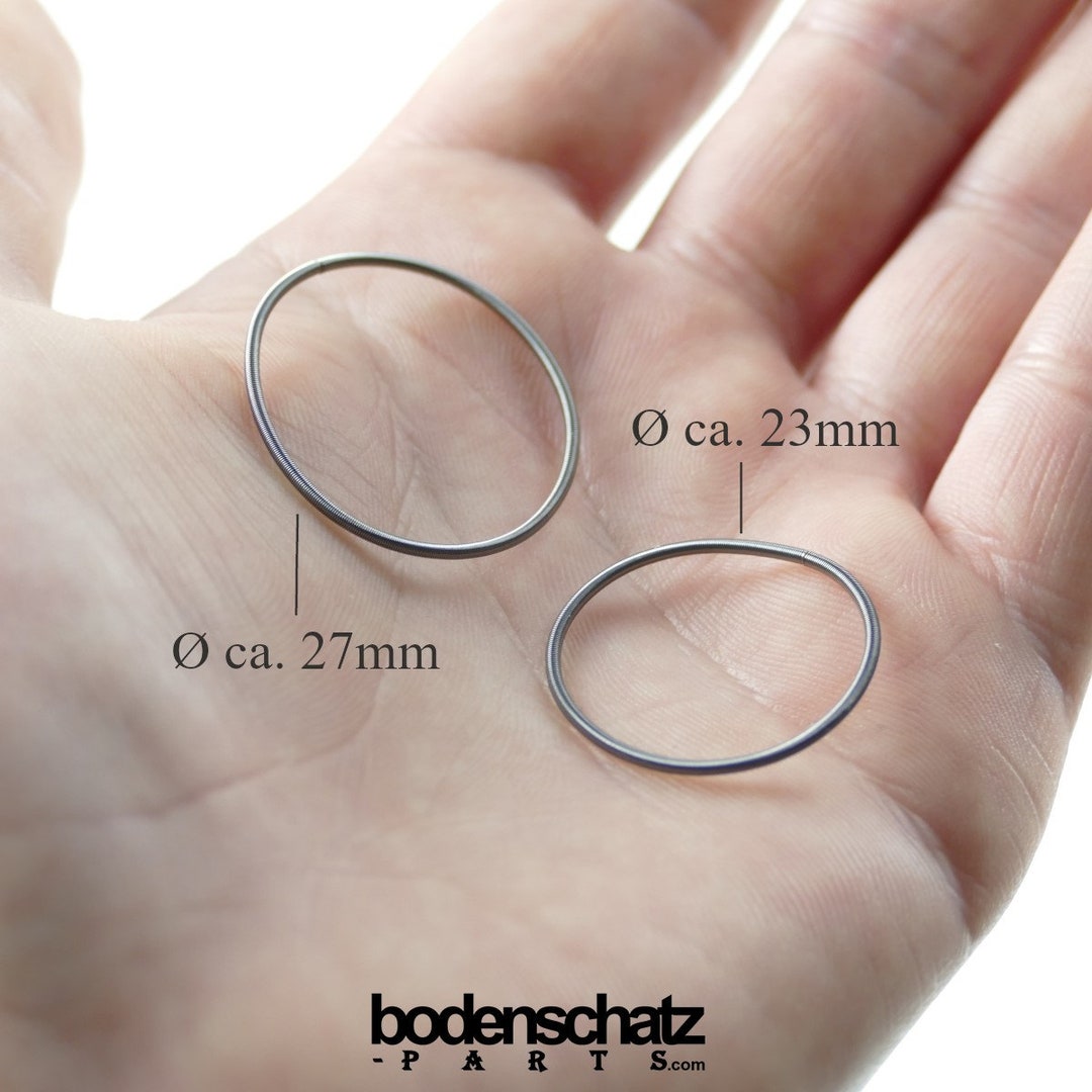 SRAM Dual Drive Pawl Spring / Pawl Spring SET Big & Small 650328002004 ...