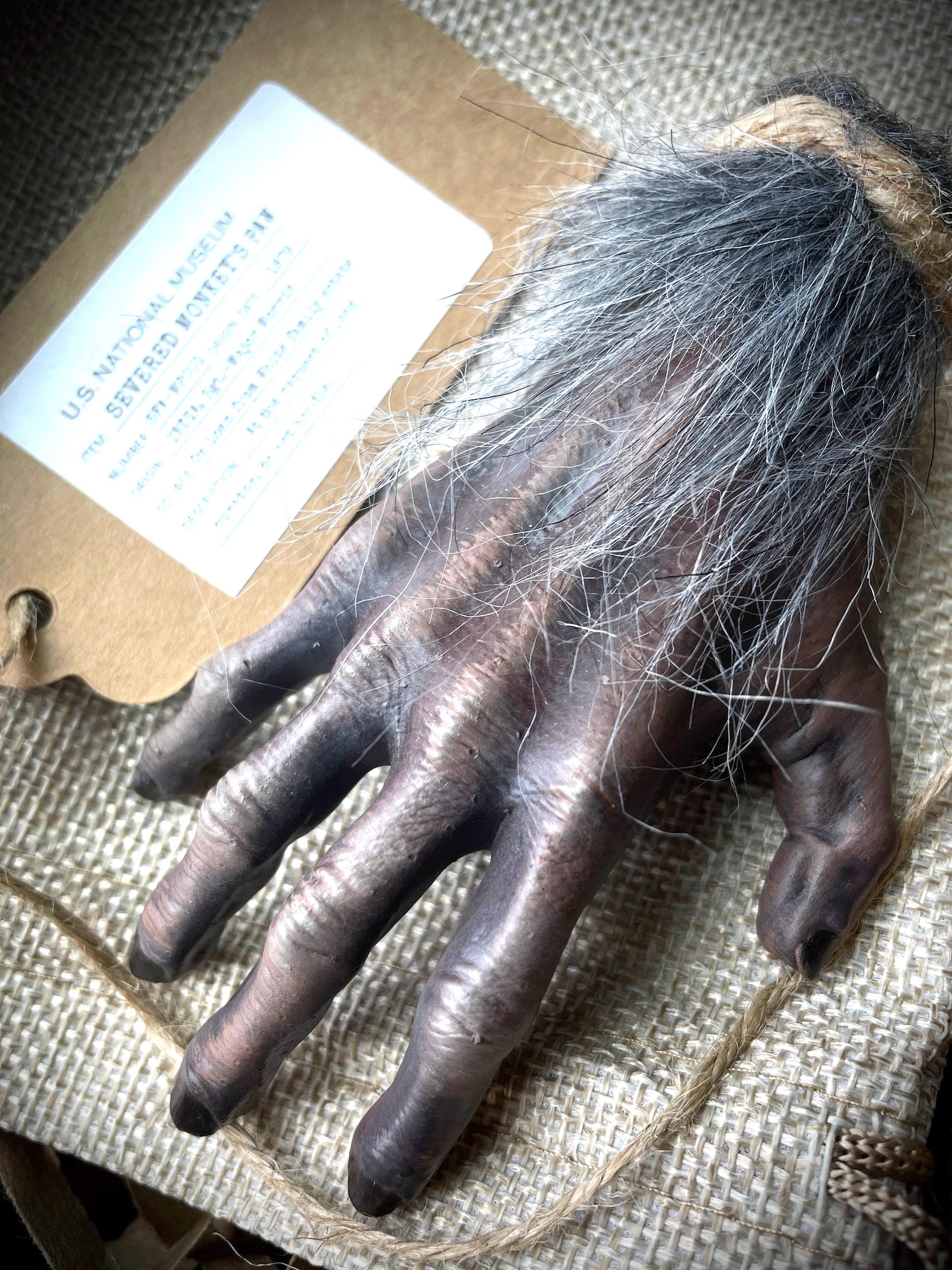 The Monkey's Paw Prop Replica: Cursed Artifact, Handmade Horror Decor ...
