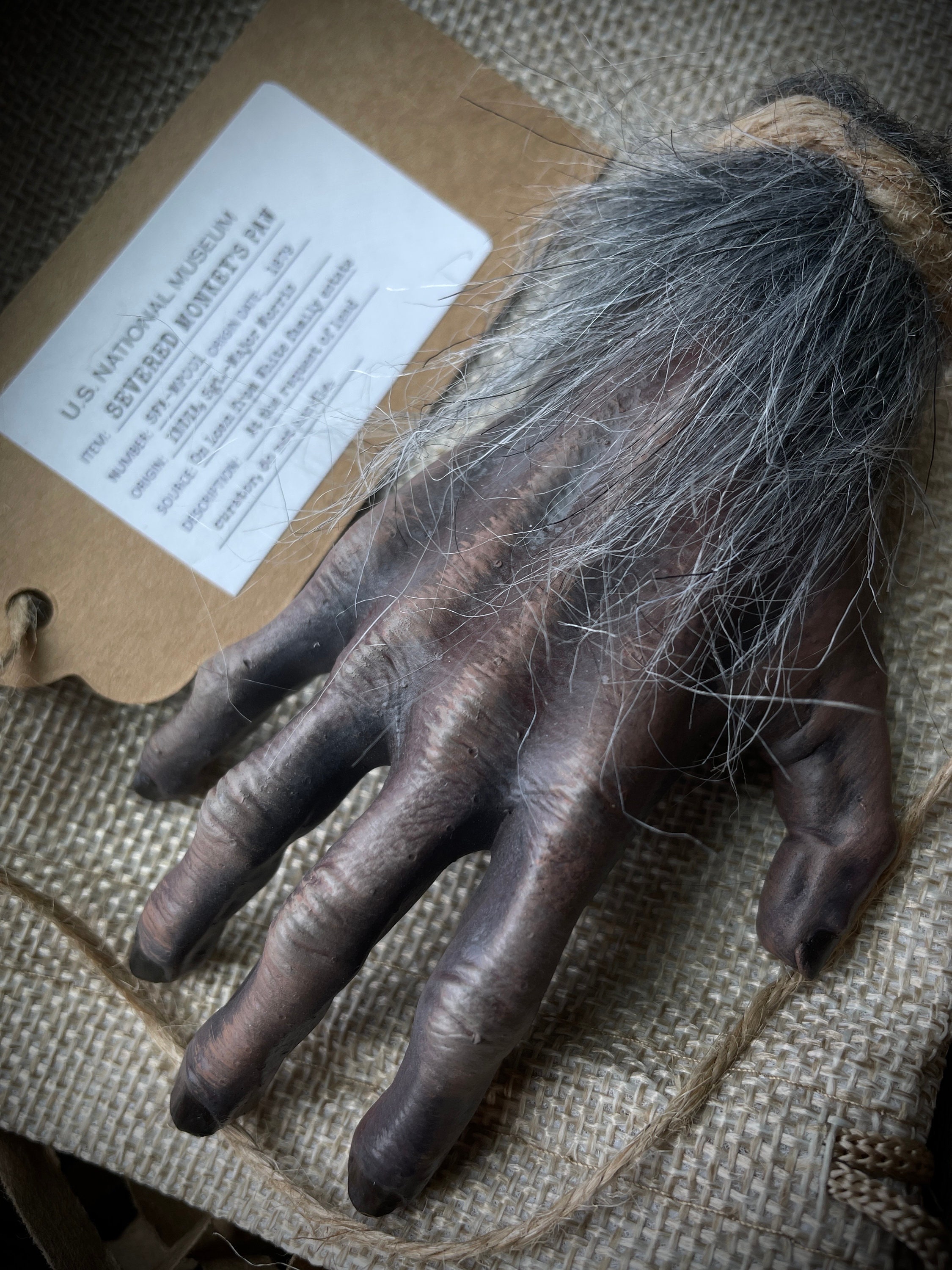 The Monkeys Paw - Etsy