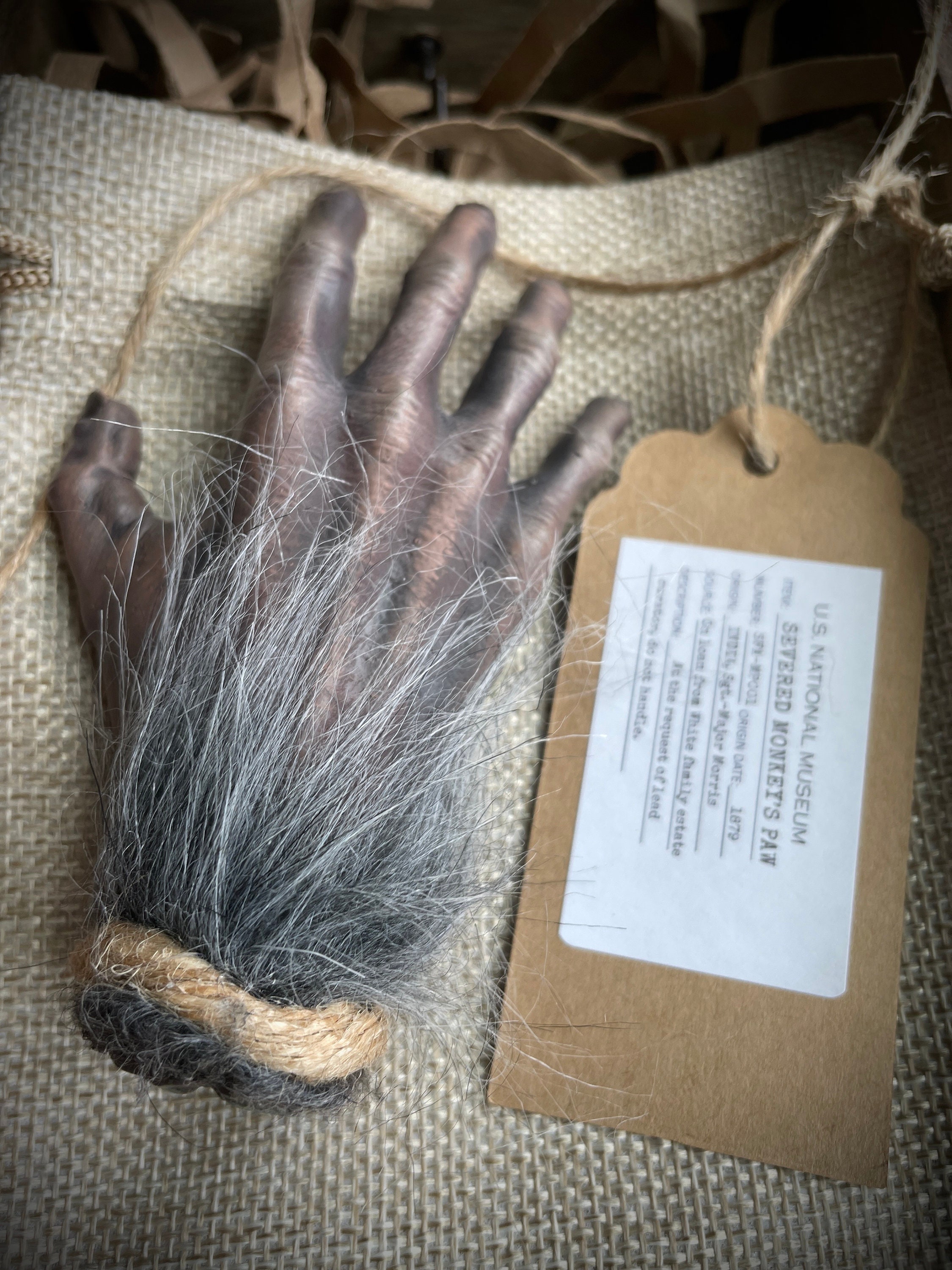 The Monkey's Paw Prop Replica: Cursed Artifact, Handmade Horror Decor ...