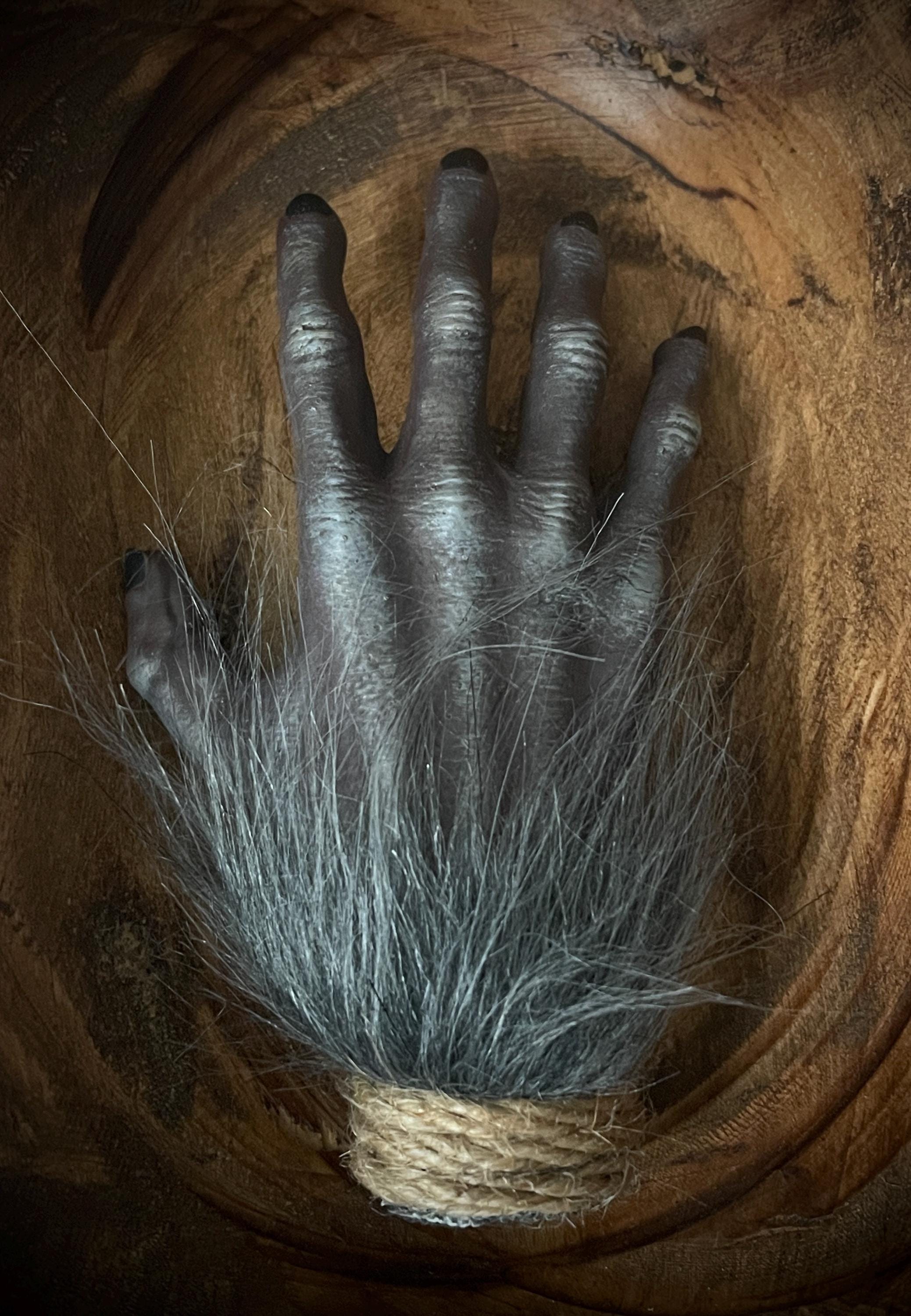 The Monkey's Paw Prop Replica: Cursed Artifact, Handmade Horror Decor ...