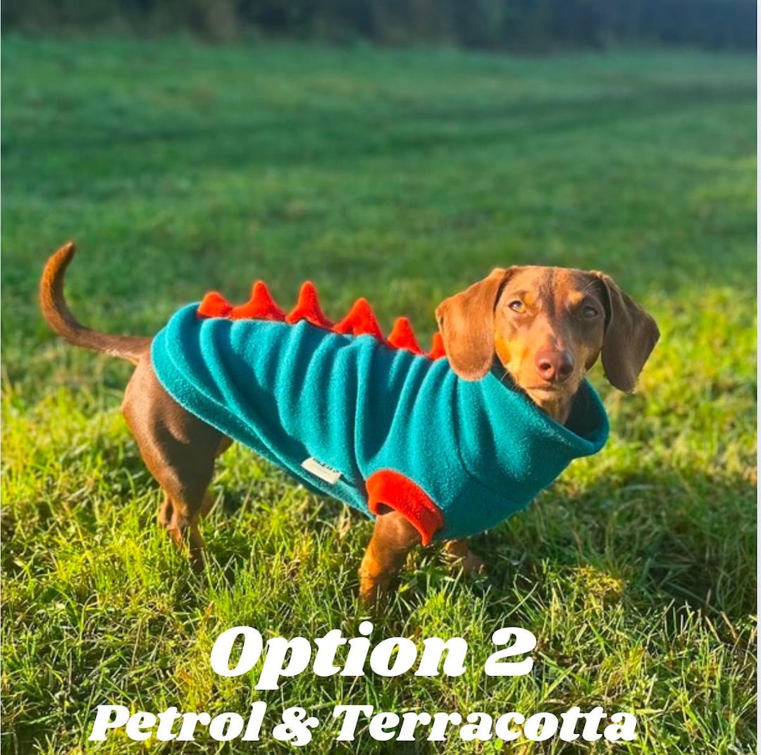 Dach-a-saur Miniature Dachshund Dinosaur Jumper Made From Anti Pil ...
