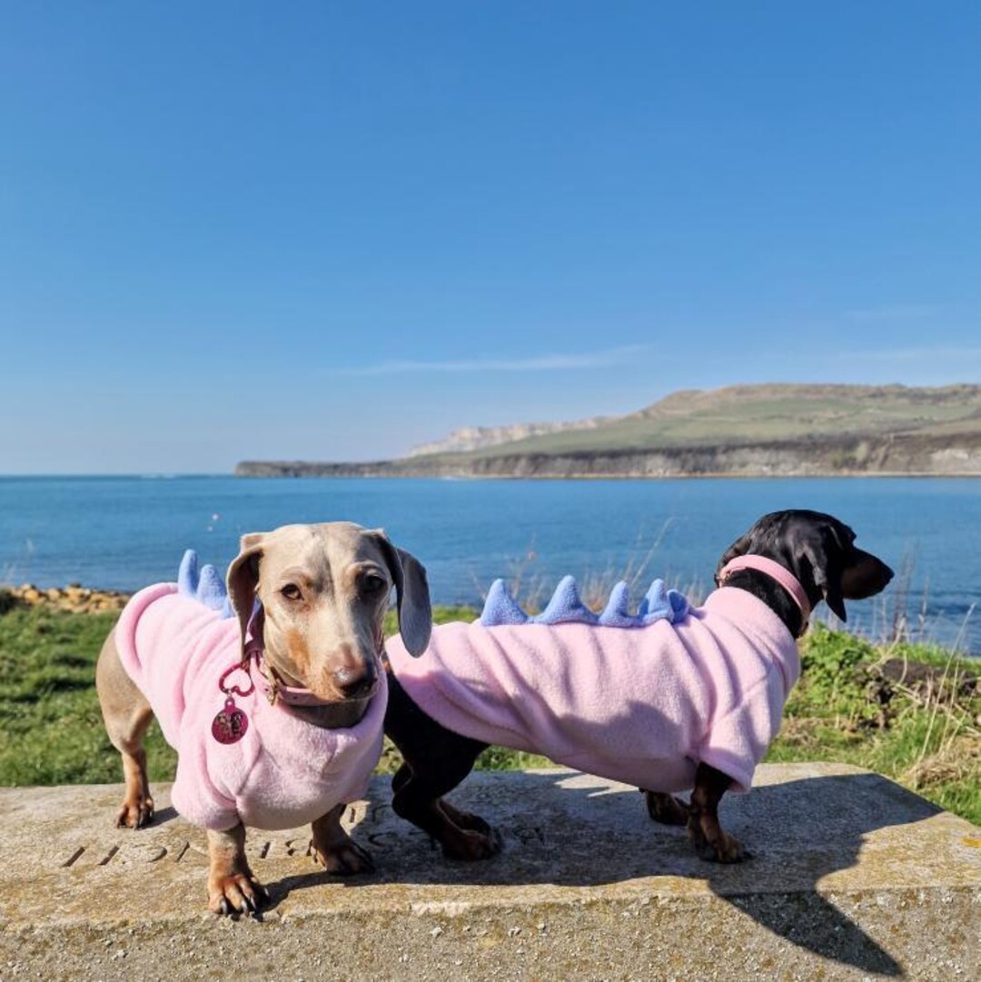 Dach-a-saur Miniature Dachshund Jumper Baby Pink & Blue Made Anti Pil ...