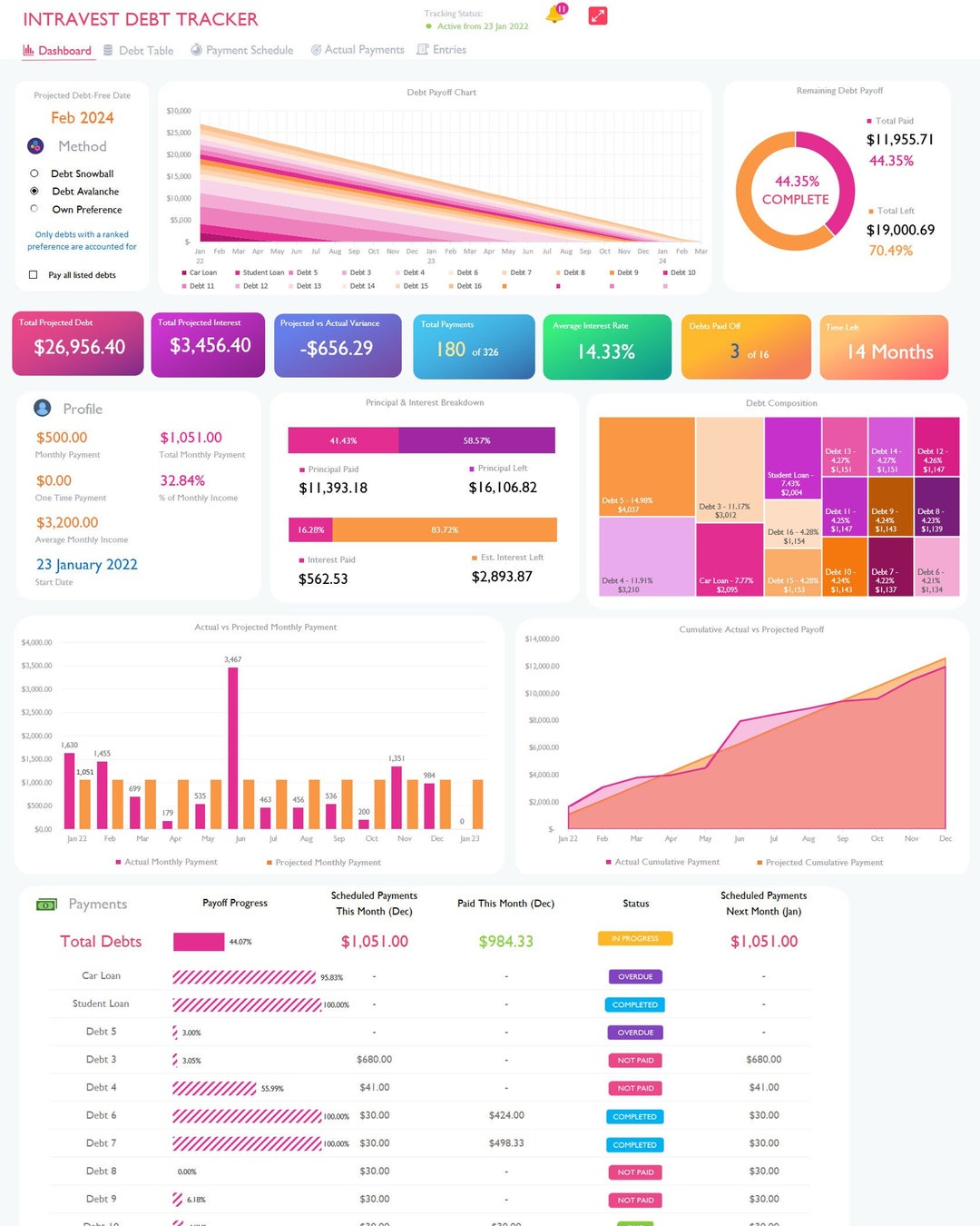 Debt Tracker & Dashboard dynamic Dashboard, Payment Tracking, Performance Reporting - Etsy