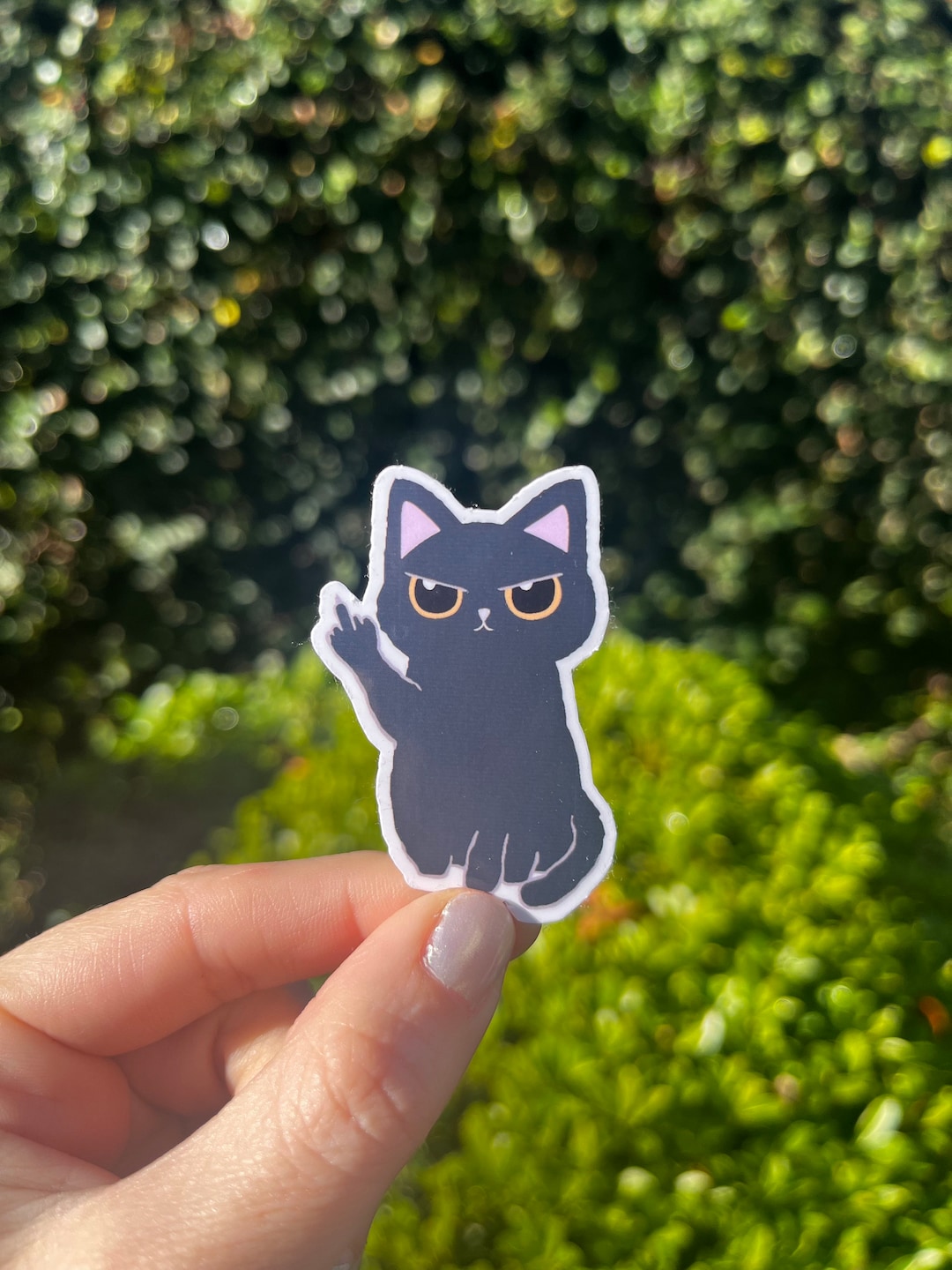 Middle Finger Cat Holographic Sticker Decal / Book Club / Kindle ...