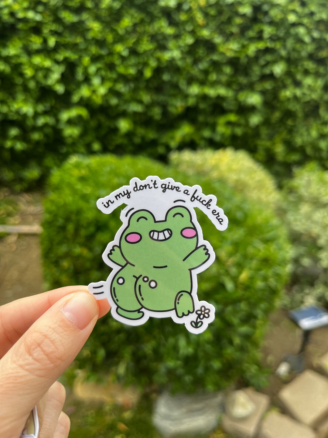 Dont Give a F Era Frog Butt/waterproof Sticker Decal/iphone/funny ...