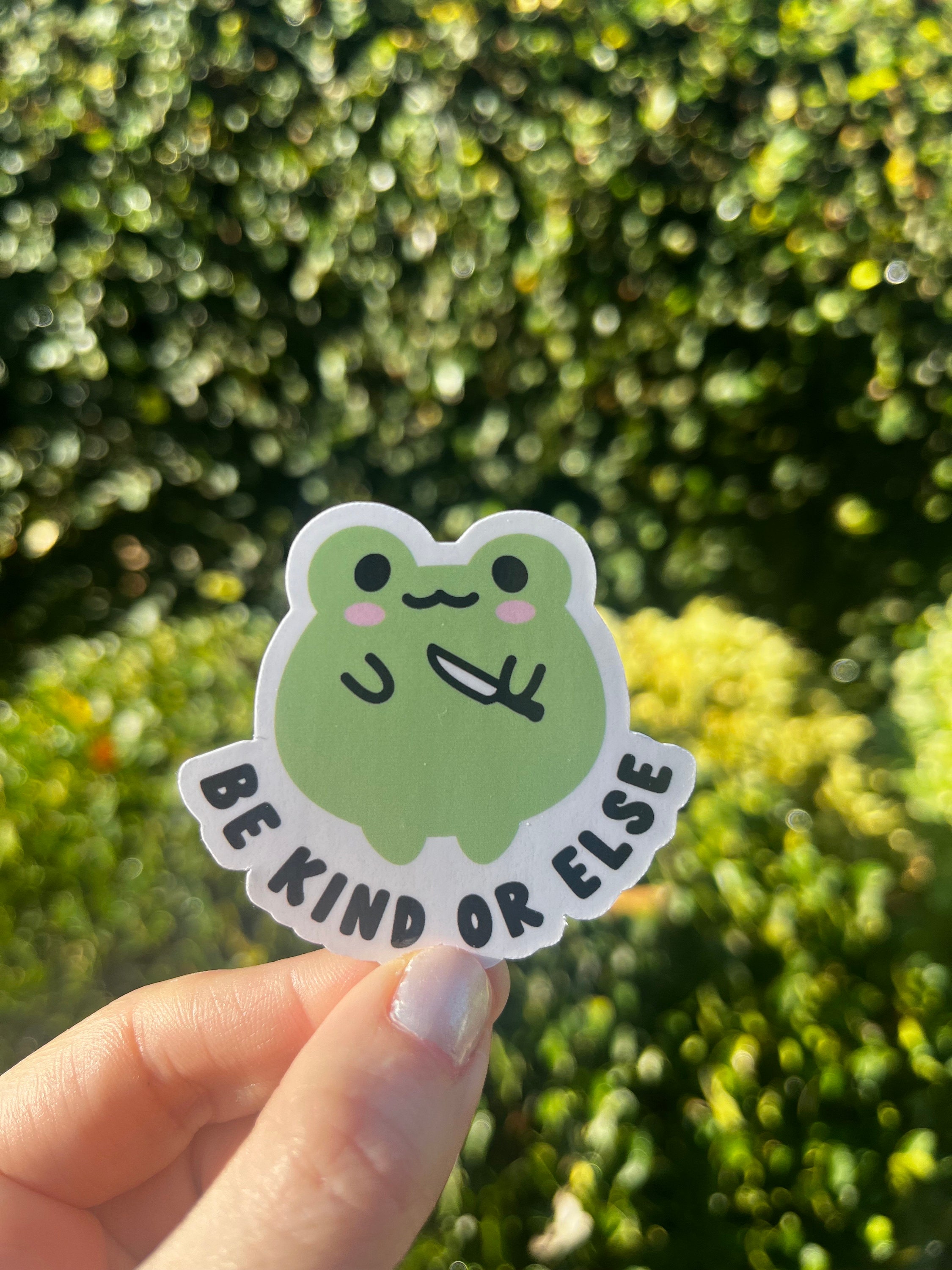 Be Kind or Else Funny Frog Sticker Decal/booktok/booktrovert Club, Cozy ...