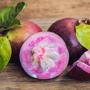 Star Apple/5 Seeds/chrysophyllum Cainito/tropical Fruit Tree Seed/seeds ...