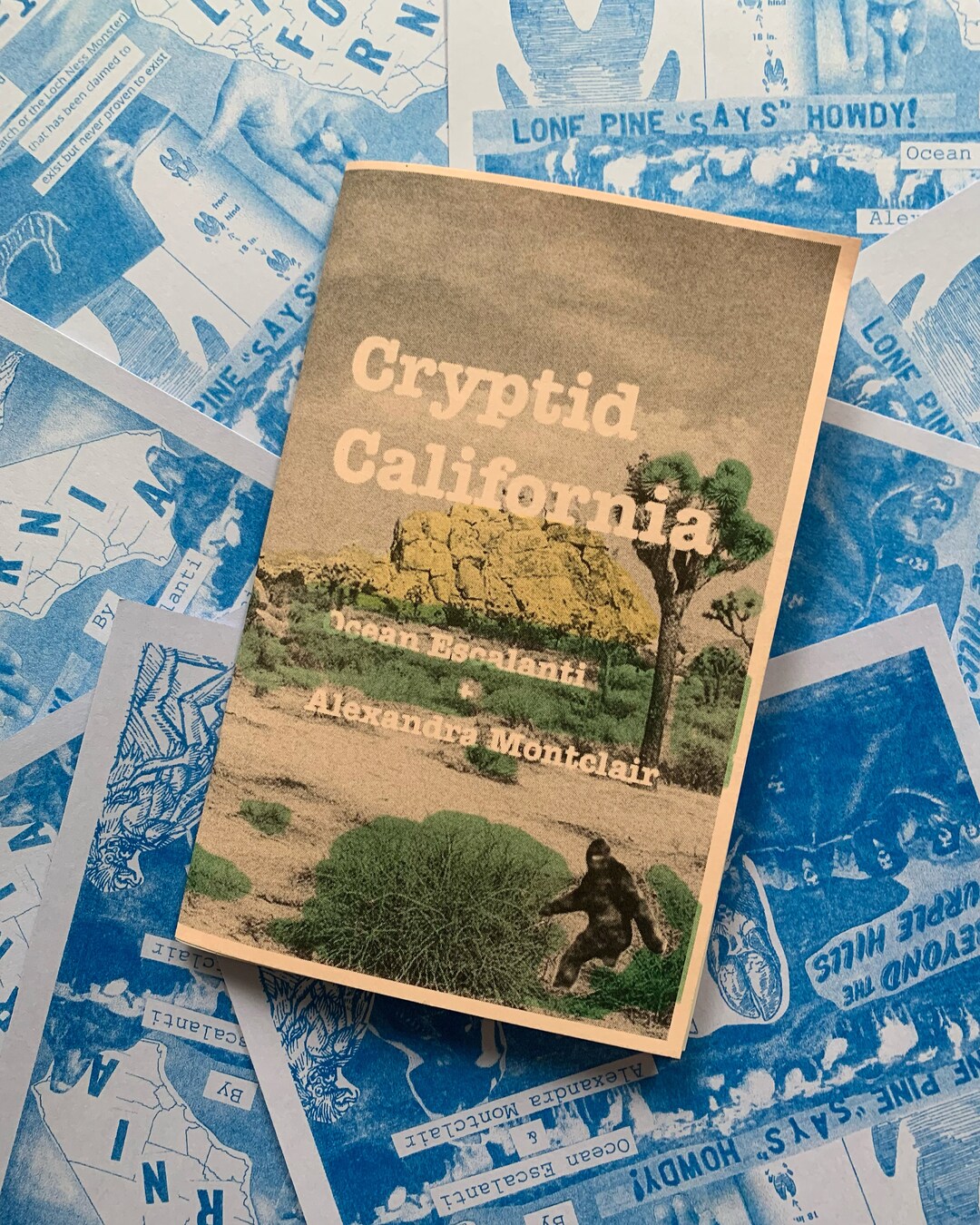 Cryptid California Risograph Zine - Etsy