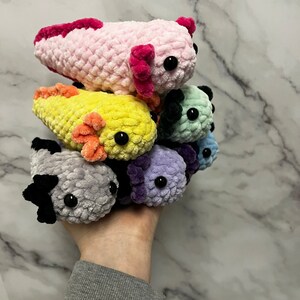 Axolotl Plush!! - Etsy