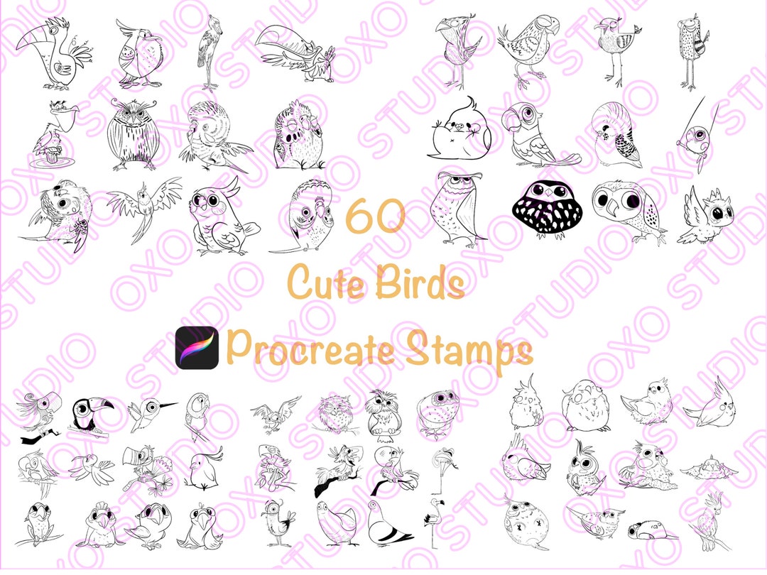 60 Cute Birds Procreate Stamps, Adorable Bird Stamps, Pretty Stamps ...