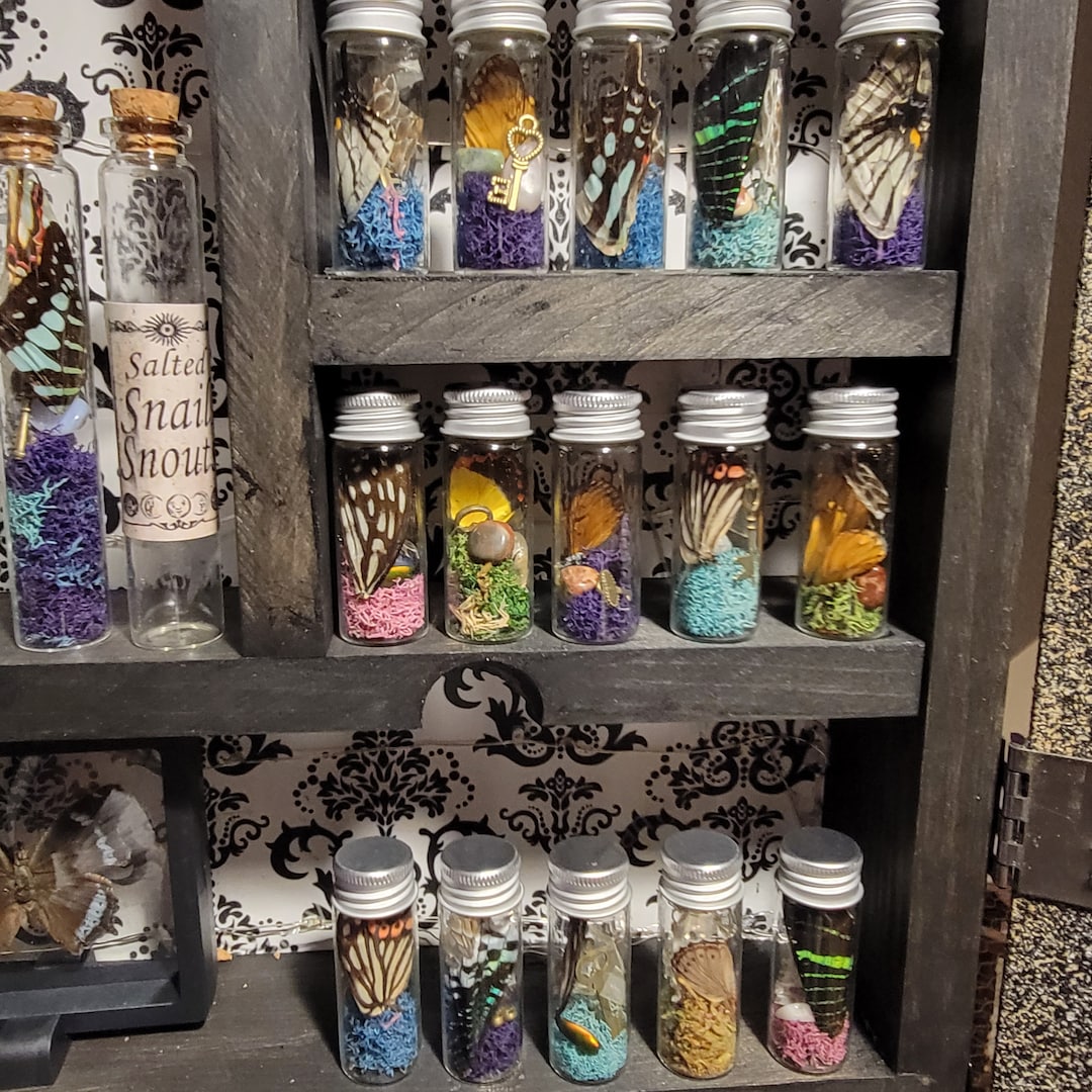 Mystery Butterfly Wing Vials, Oddity and Curiosity, Ethically Sourced ...