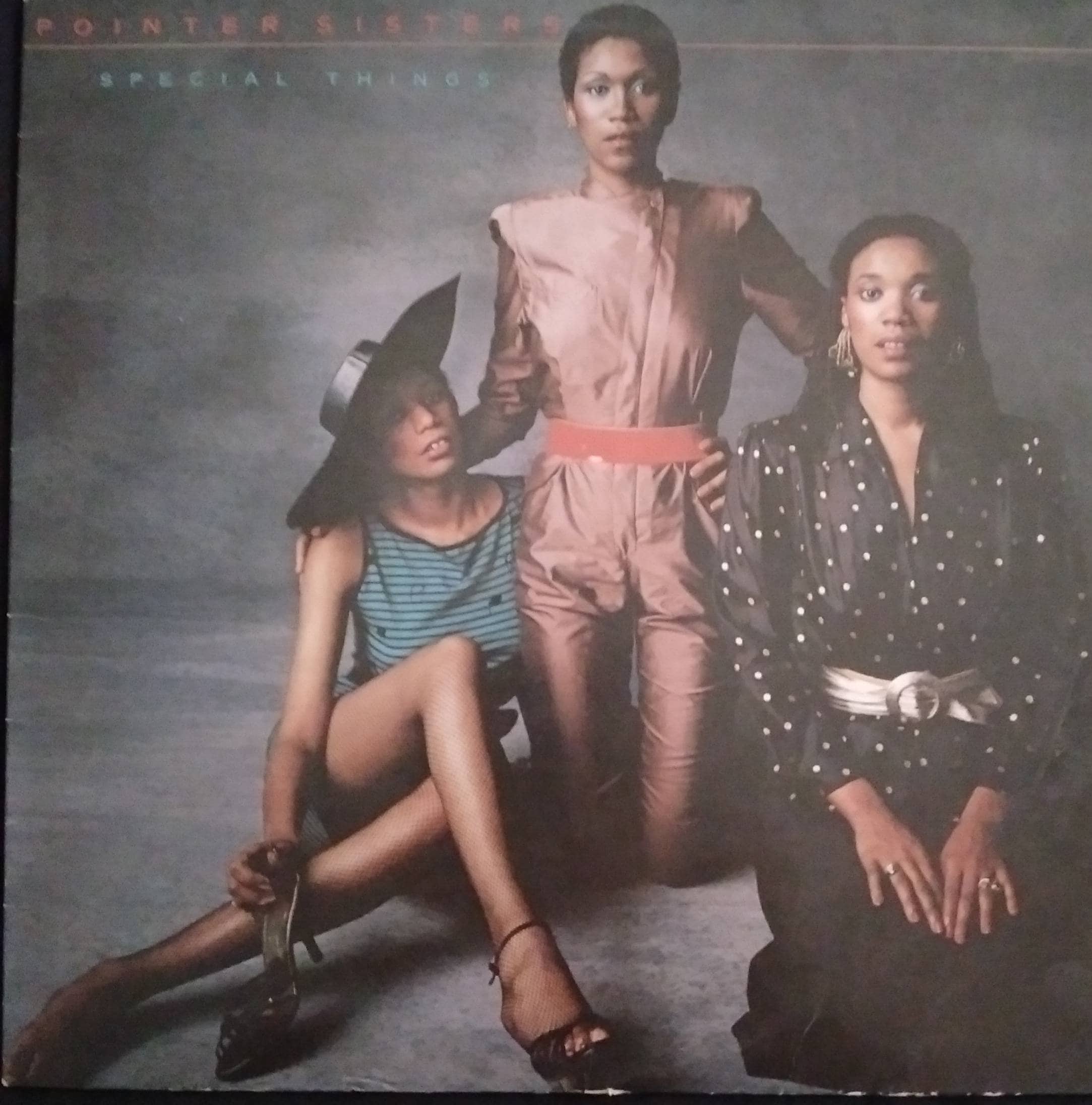 Pointer Sisters Special Things 1980 Planet Records P 9 - Etsy