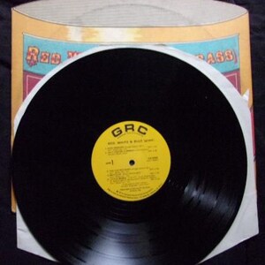 Red, White and Blue (grass) 1973 GRC GA 5002 - Etsy